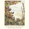 OUR STORY - Brambly Hedge - Children's books and gifts